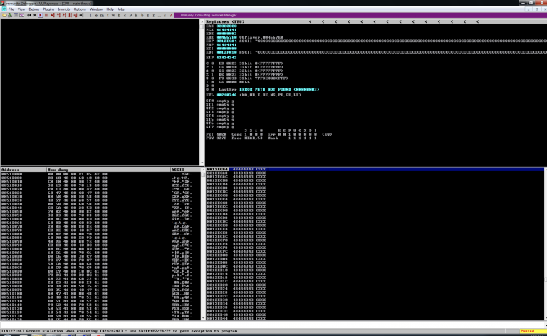 ROP Gadgets: VirtualProtect() – Binary Exploitation